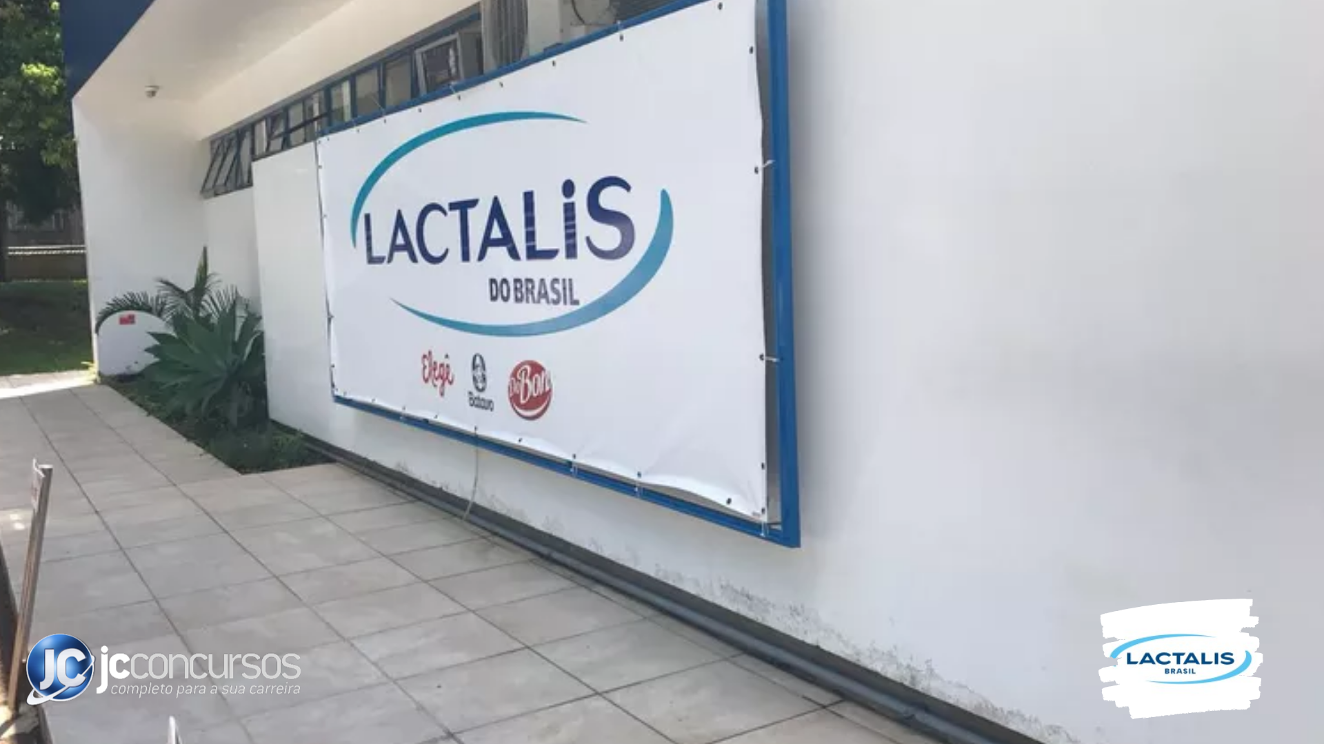 Lactalis Brasil abre processo seletivo com 179 vagas de emprego